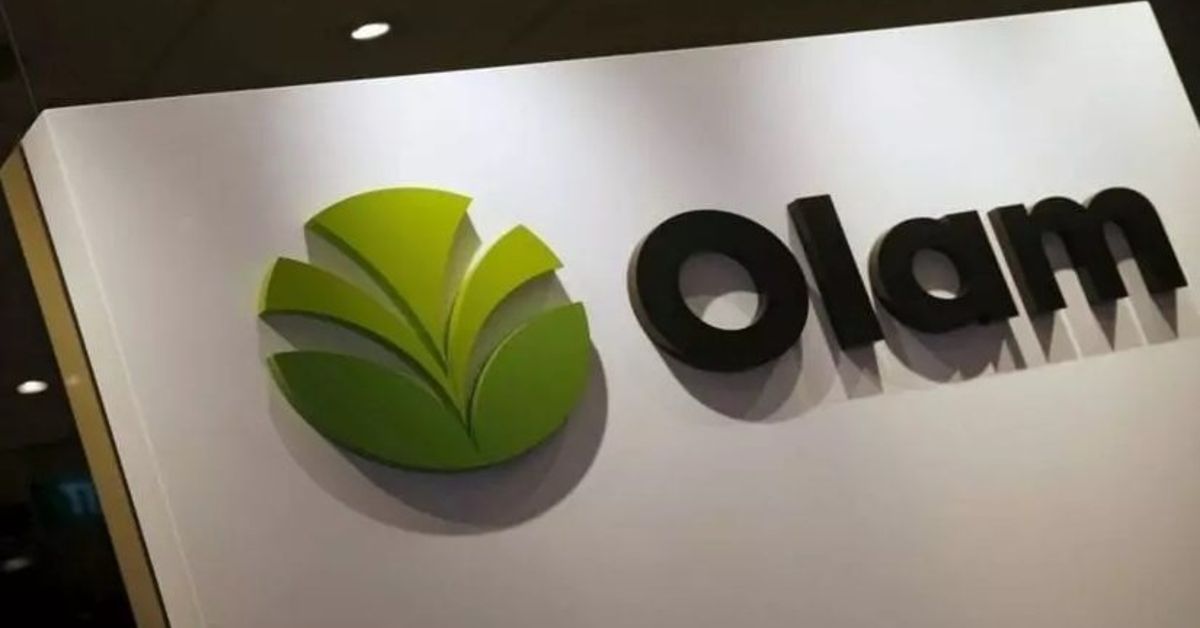 Olam Mozambique annonce la fermeture d'usines de transformation de cajou | CCI FRANCE MOZAMBIQUE
