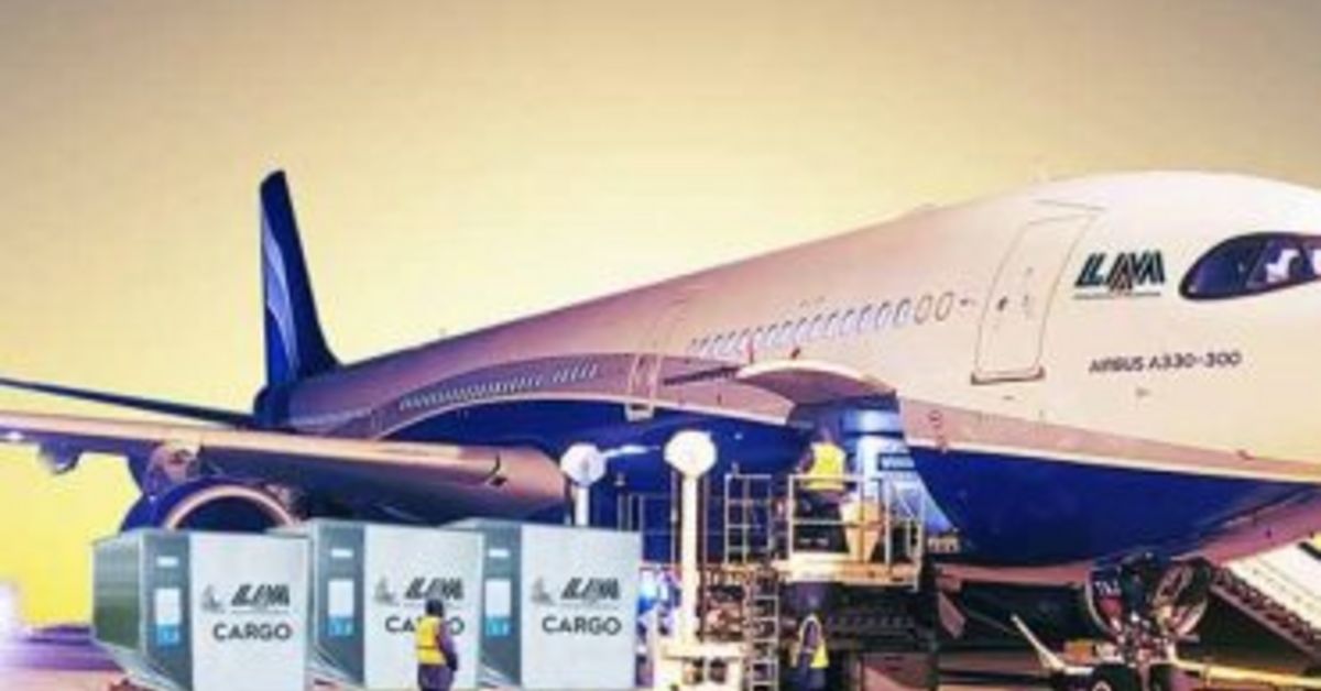 Fly Modern Ark: “LAM Is Now Fully Solvent” | CCI FRANCE MOZAMBIQUE