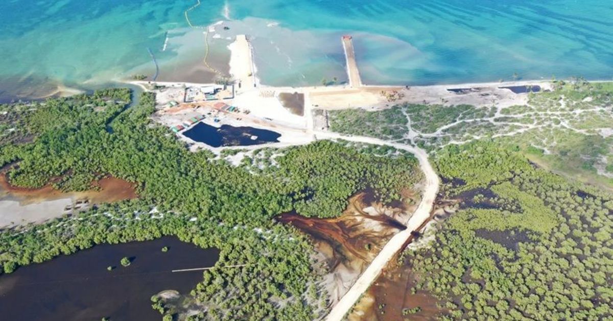 President Chapo joins TotalEnergies Pouyanné in Afungi for Mozambique ...