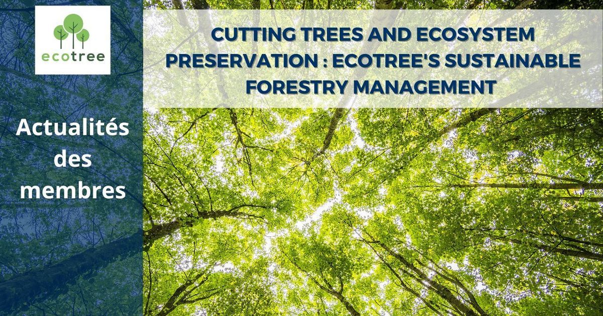 Cutting trees and ecosystem preservation:EcoTree's sustainable forest ...